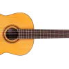 C3M - Cordoba Guitars
