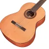 Dolce (7/8) - Cordoba Guitars