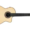 GK Pro Negra - Cordoba Guitars