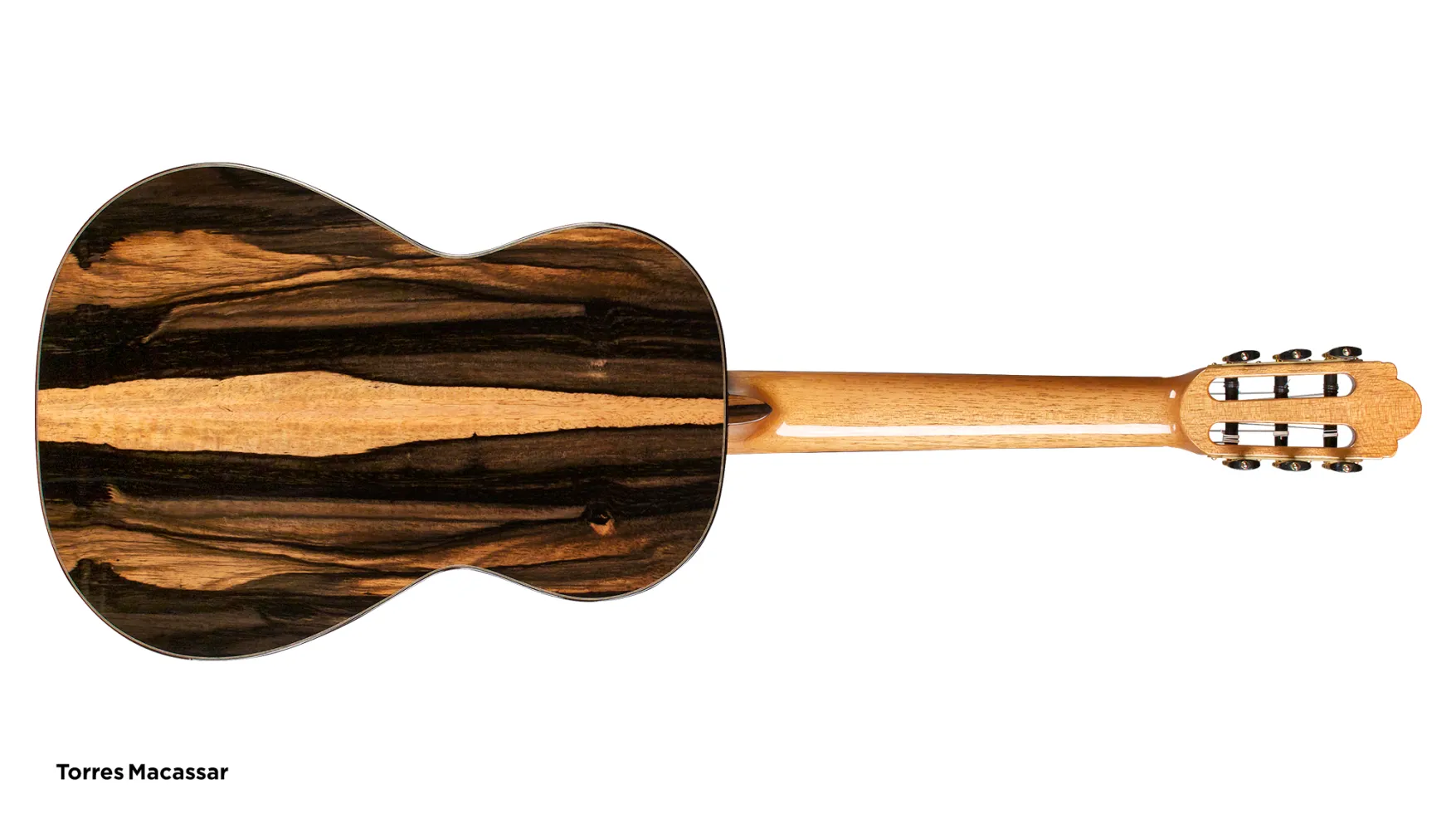 Torres Limited - Cordoba Guitars