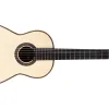 Torres - Cordoba Guitars
